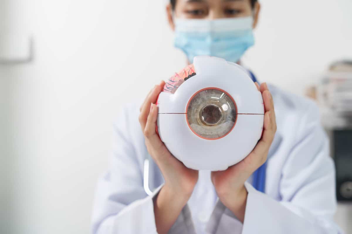 Optometrist vs. Ophthalmologist: A Minnesota Patient’s Quick Guide ...